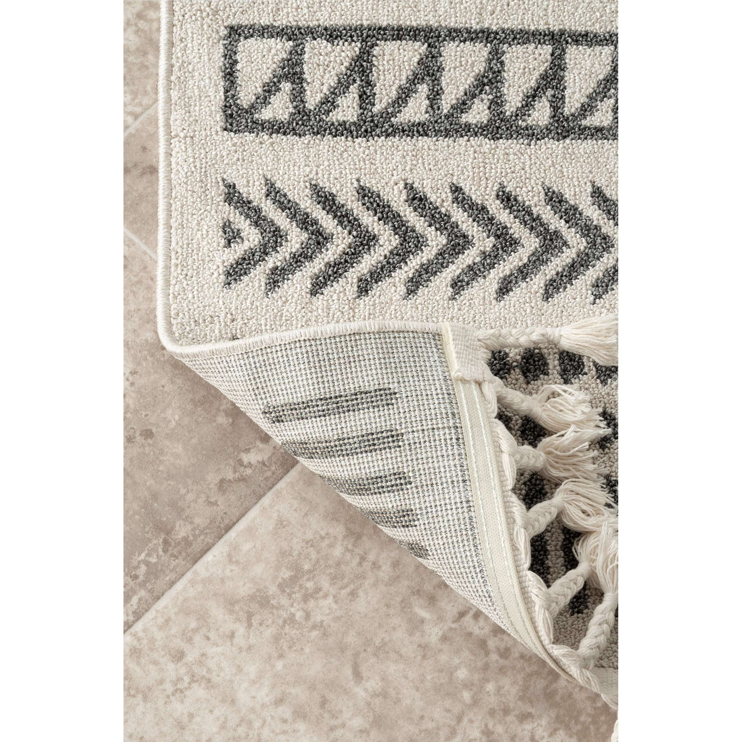 Aztec Coyote — nuLOOM