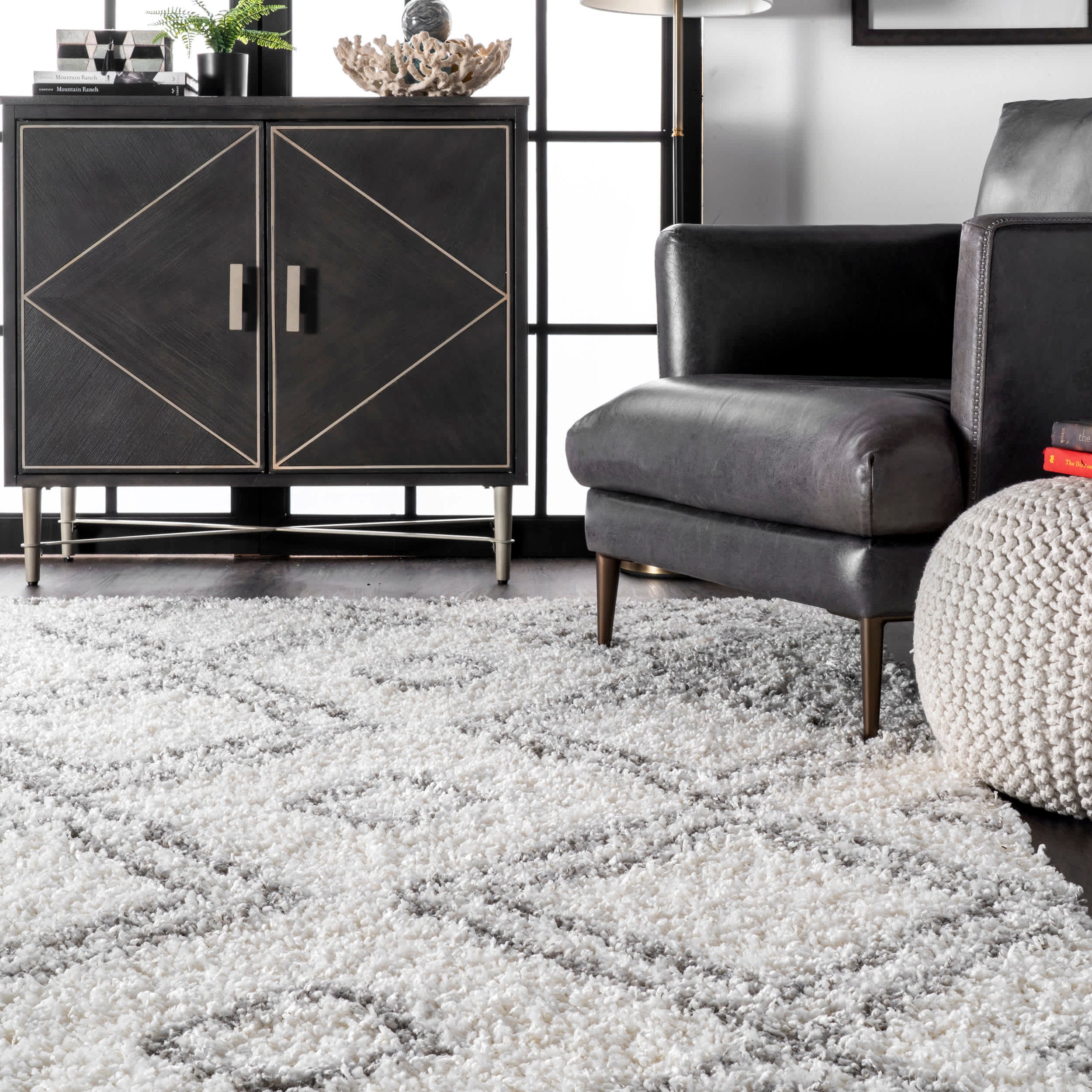 Iola Easy Shag Area Rug — nuLOOM