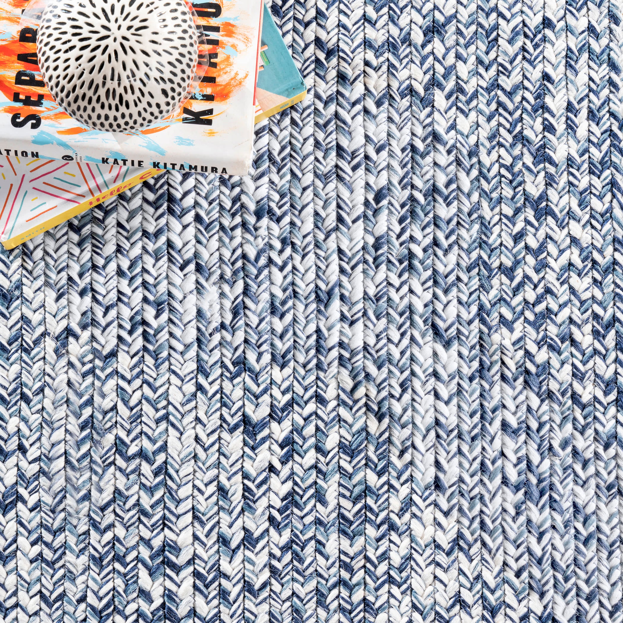 Wynn Braided Indoor/Outdoor Area Rug — nuLOOM